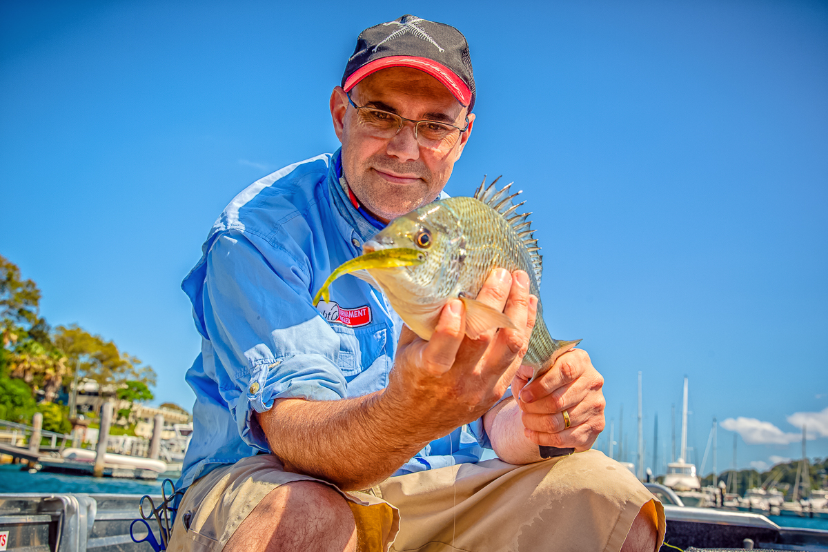 Pittwater Bream